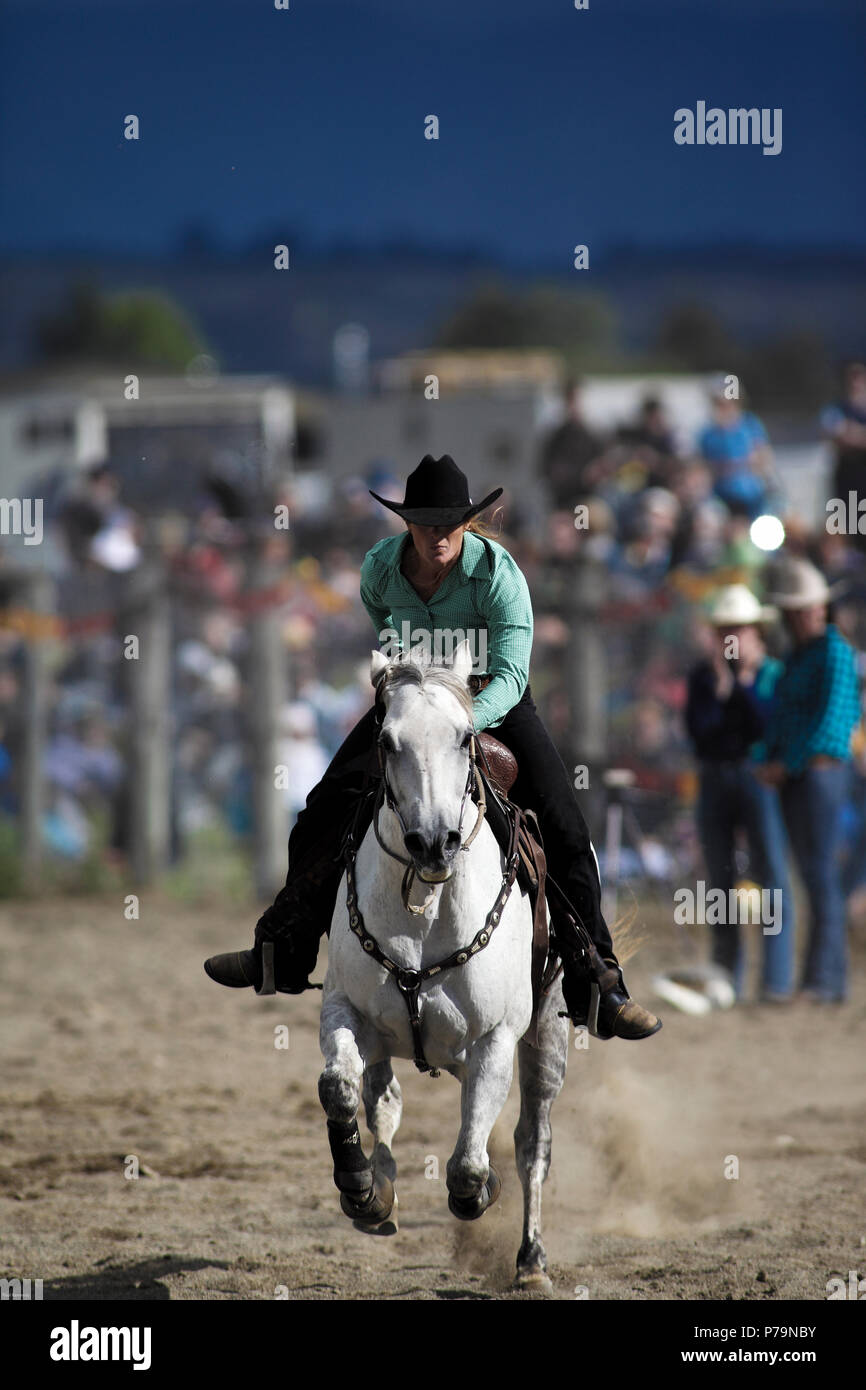 Rodeo New Zealand High Resolution Stock Photography and Images - Alamy