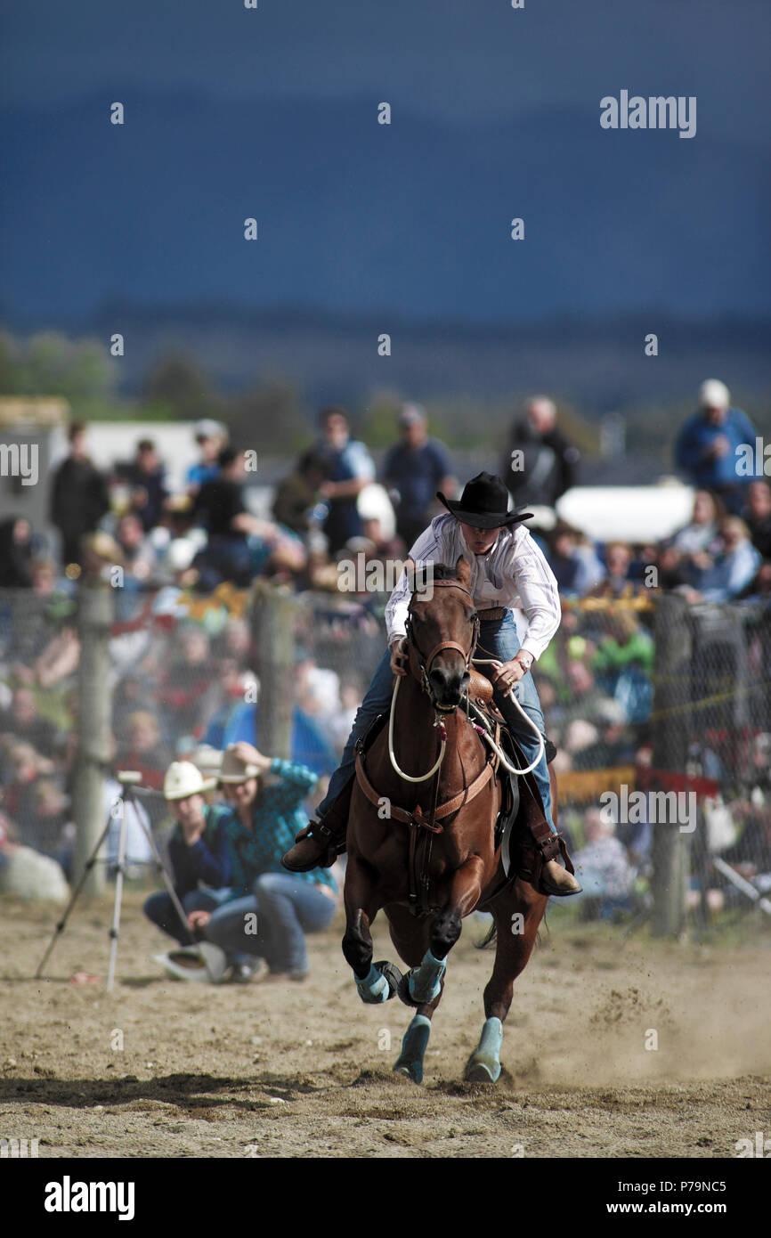 Women rides horse in barrel race at rodeo, Te Anau, New Zealand Stock ...