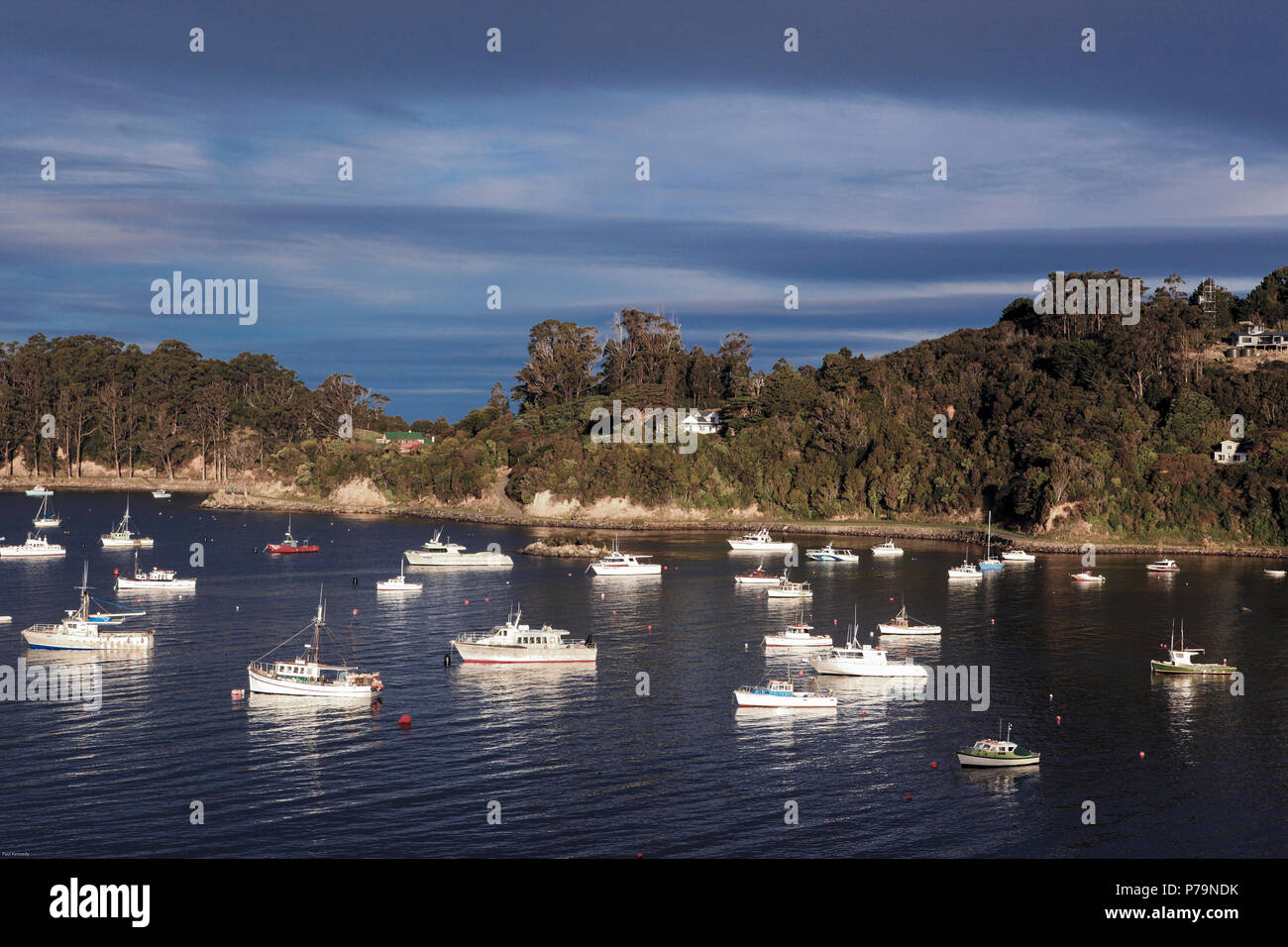 Stewart island island bay hi-res stock photography and images - Alamy