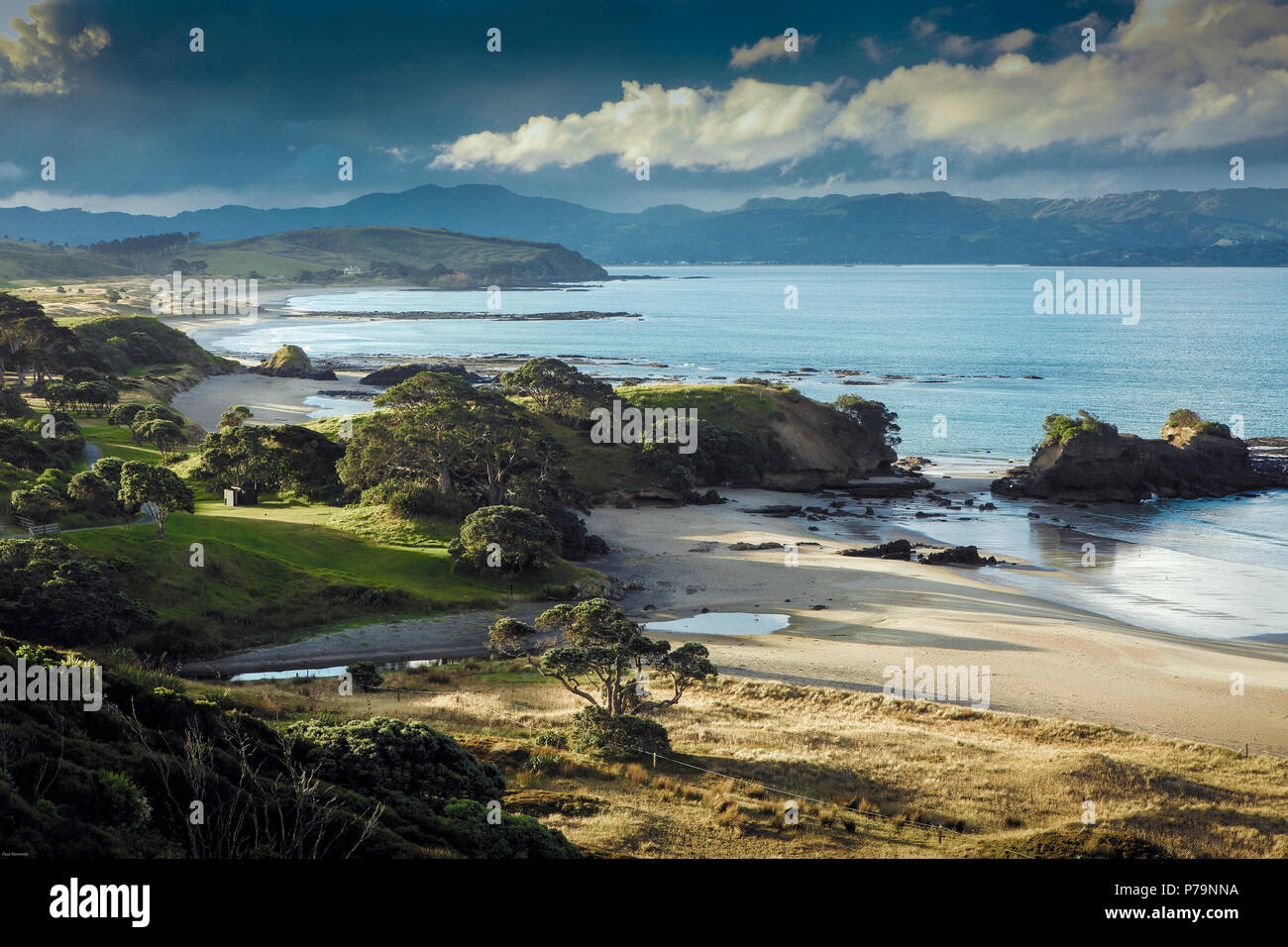 Tawharanui hi-res stock photography and images - Alamy
