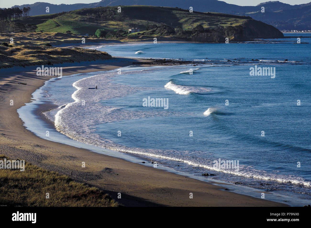 Tawharanui regional park hi-res stock photography and images - Alamy