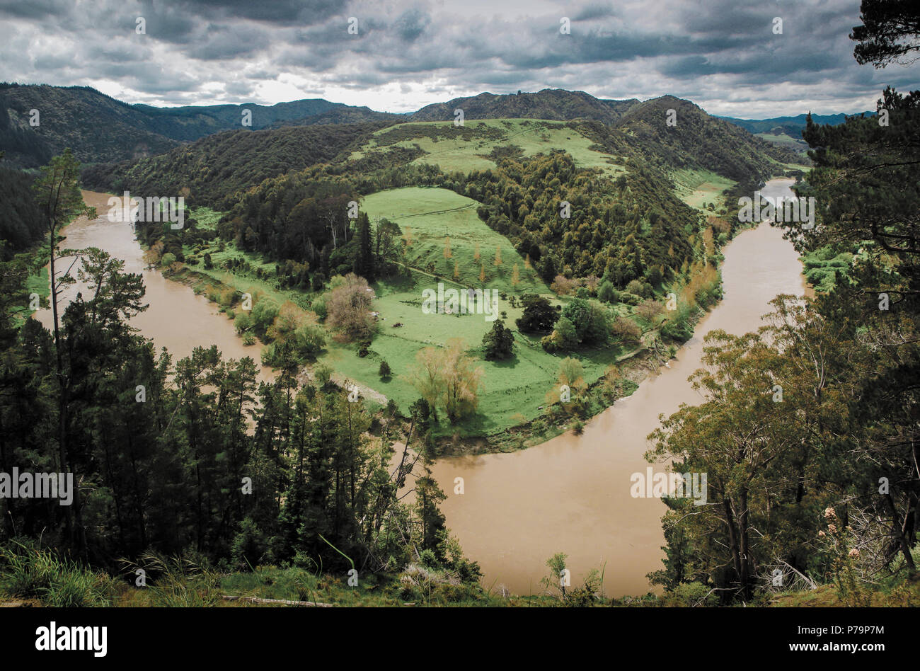 Whanganui river wilderness hi-res stock photography and images - Alamy