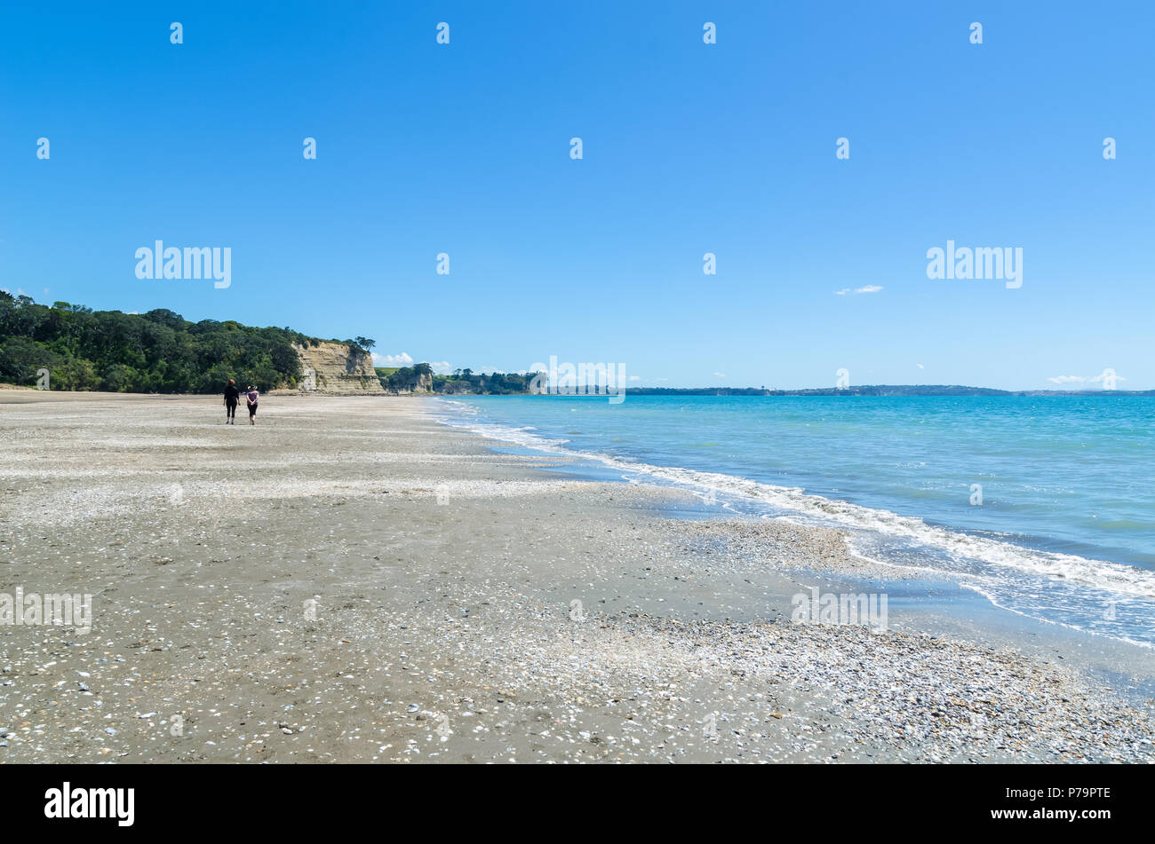 Long bay regional park auckland hi-res stock photography and images - Alamy