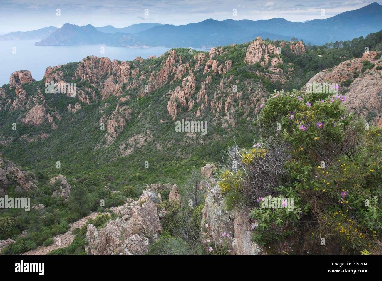 Calanches mountains hi-res stock photography and images - Alamy