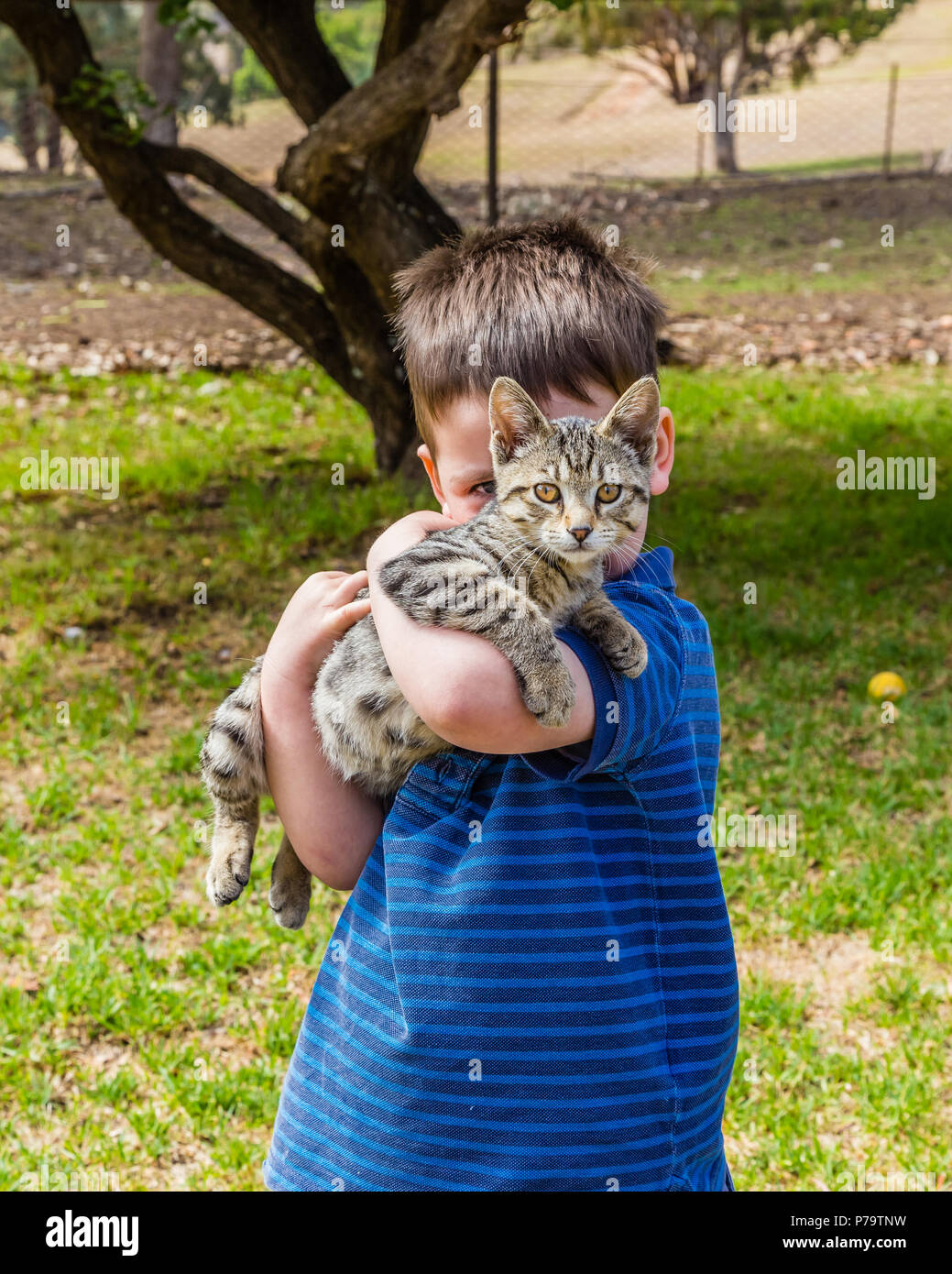 Boy hiding cat hi-res stock photography and images - Alamy