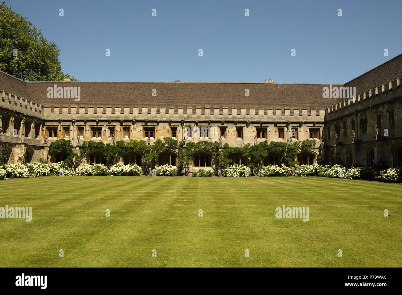 Magdalene building oxford hi-res stock photography and images - Alamy