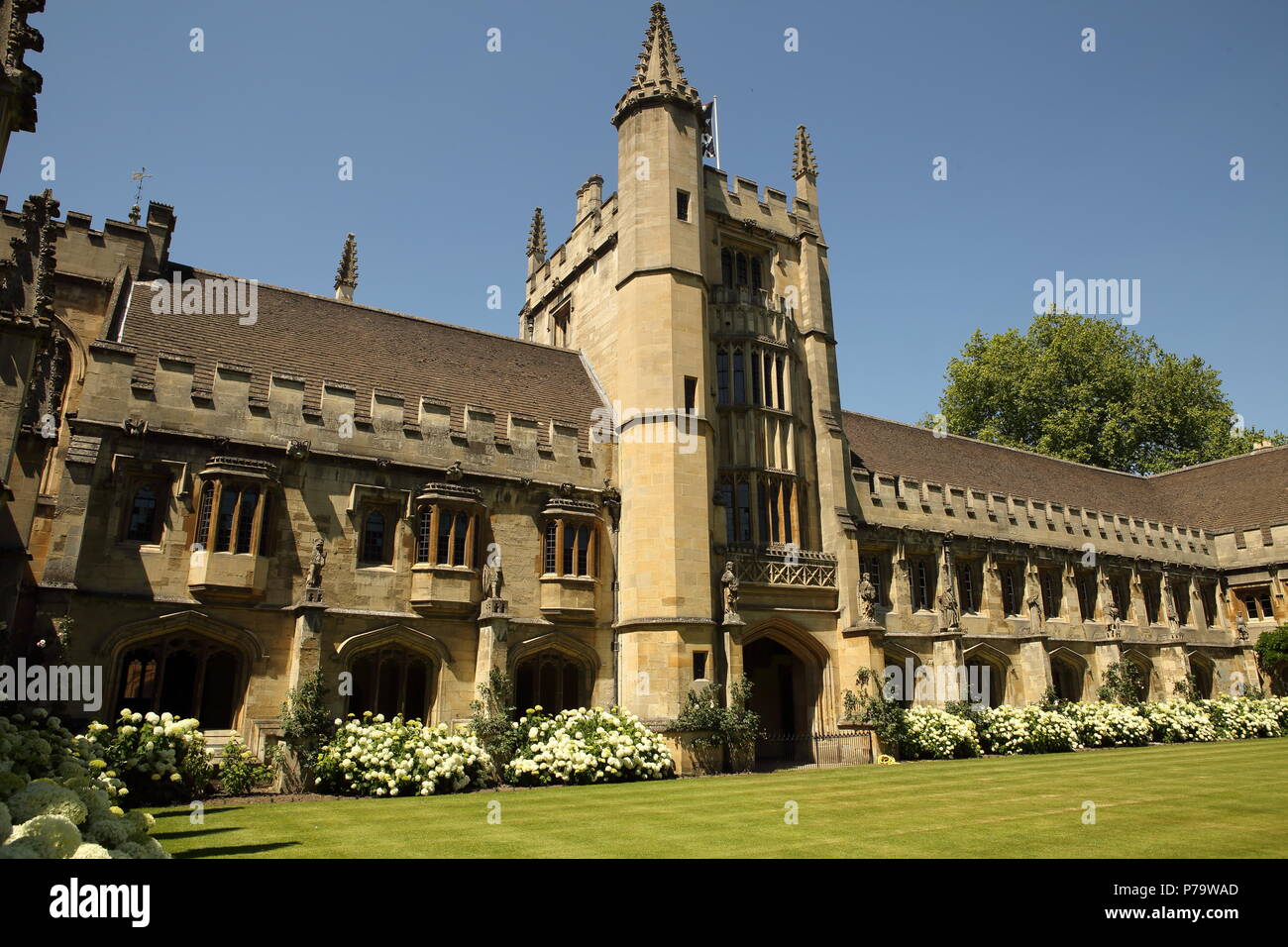 Oxford university magdalene college hi-res stock photography and images ...