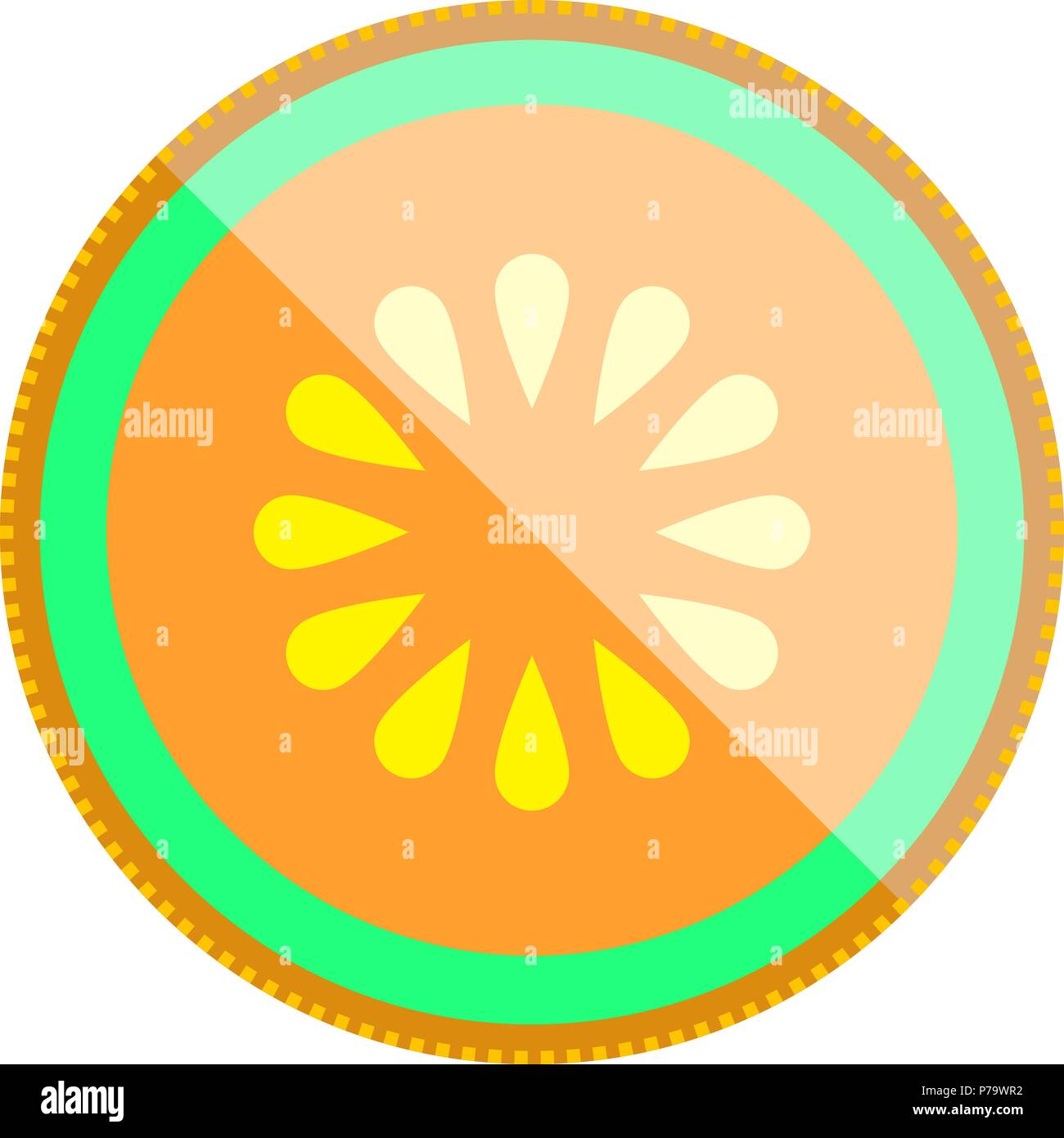 Rock melon fruit cut in half vector in flat design style isolated Stock ...