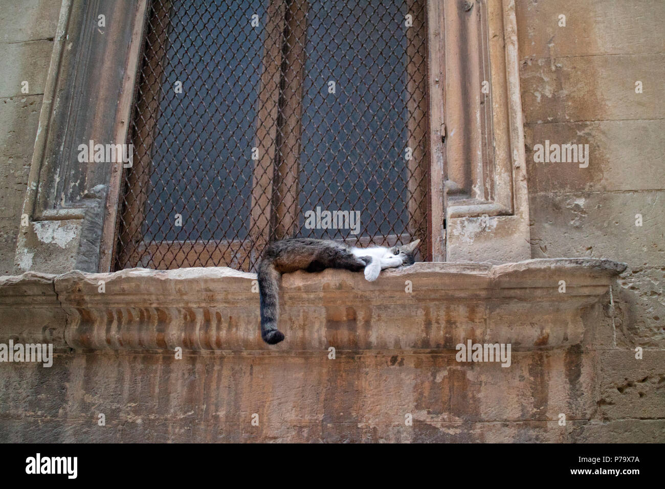 Lece hi-res stock photography and images - Alamy