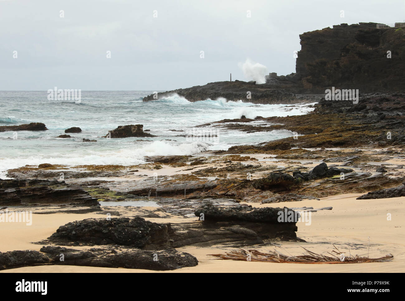 Ocean waves and rocks at Sandy Beach at Halona Cove. The Halona ...