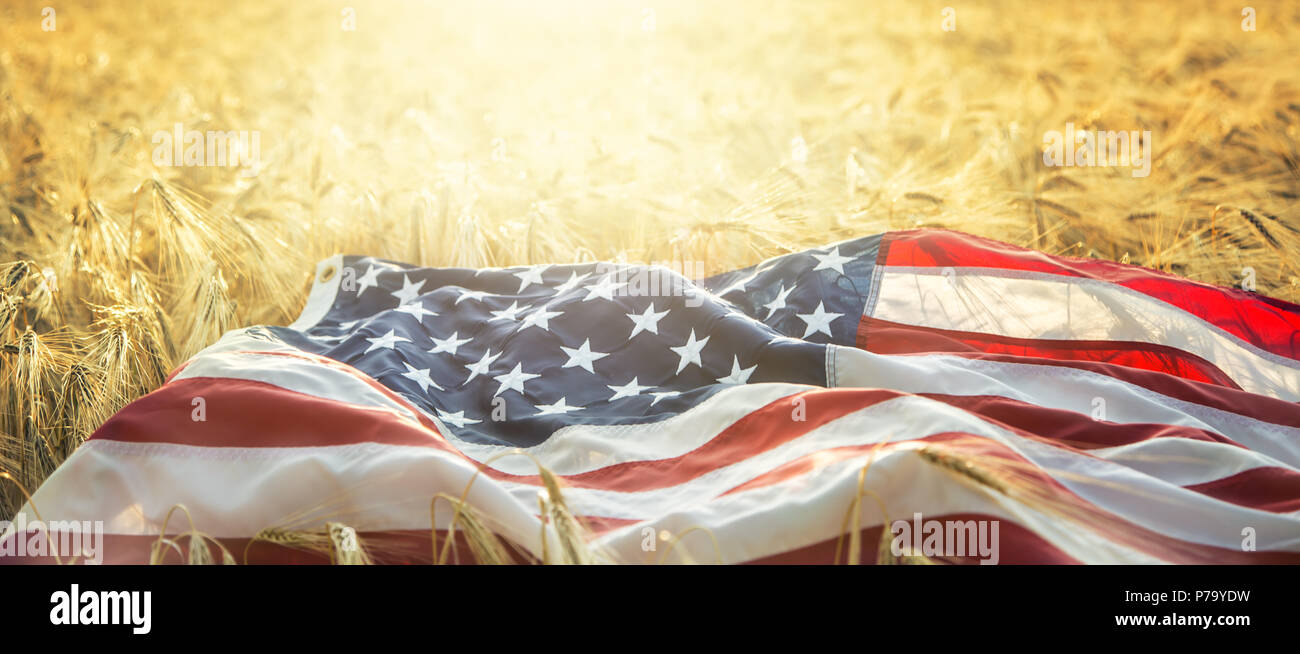 American flag star field hi-res stock photography and images - Alamy