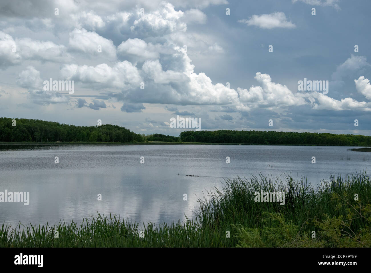 Churchbridge hi-res stock photography and images - Alamy