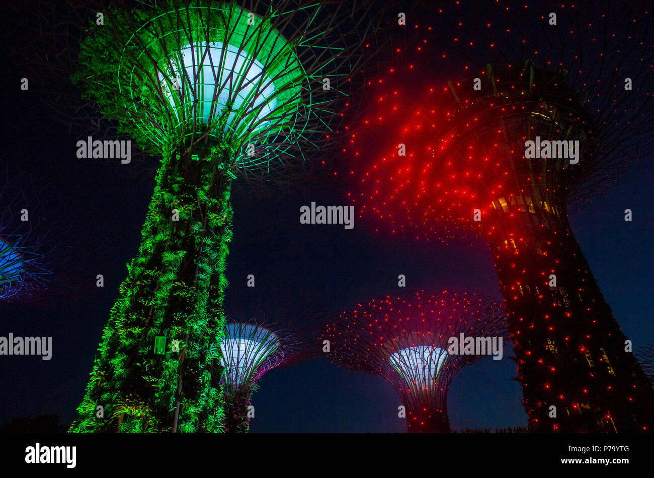 Supertrees in Gardens by the Bay in Singapore Stock Photo - Alamy
