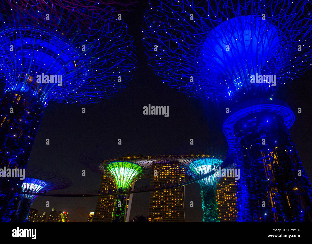 Supertrees in Gardens by the Bay in Singapore Stock Photo - Alamy