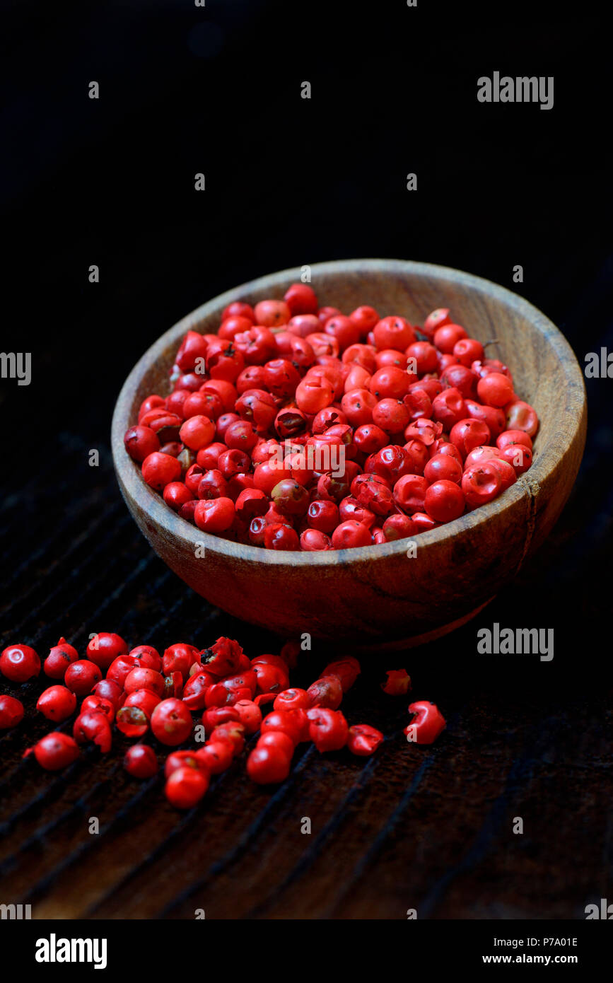 Florida holly hi-res stock photography and images - Alamy