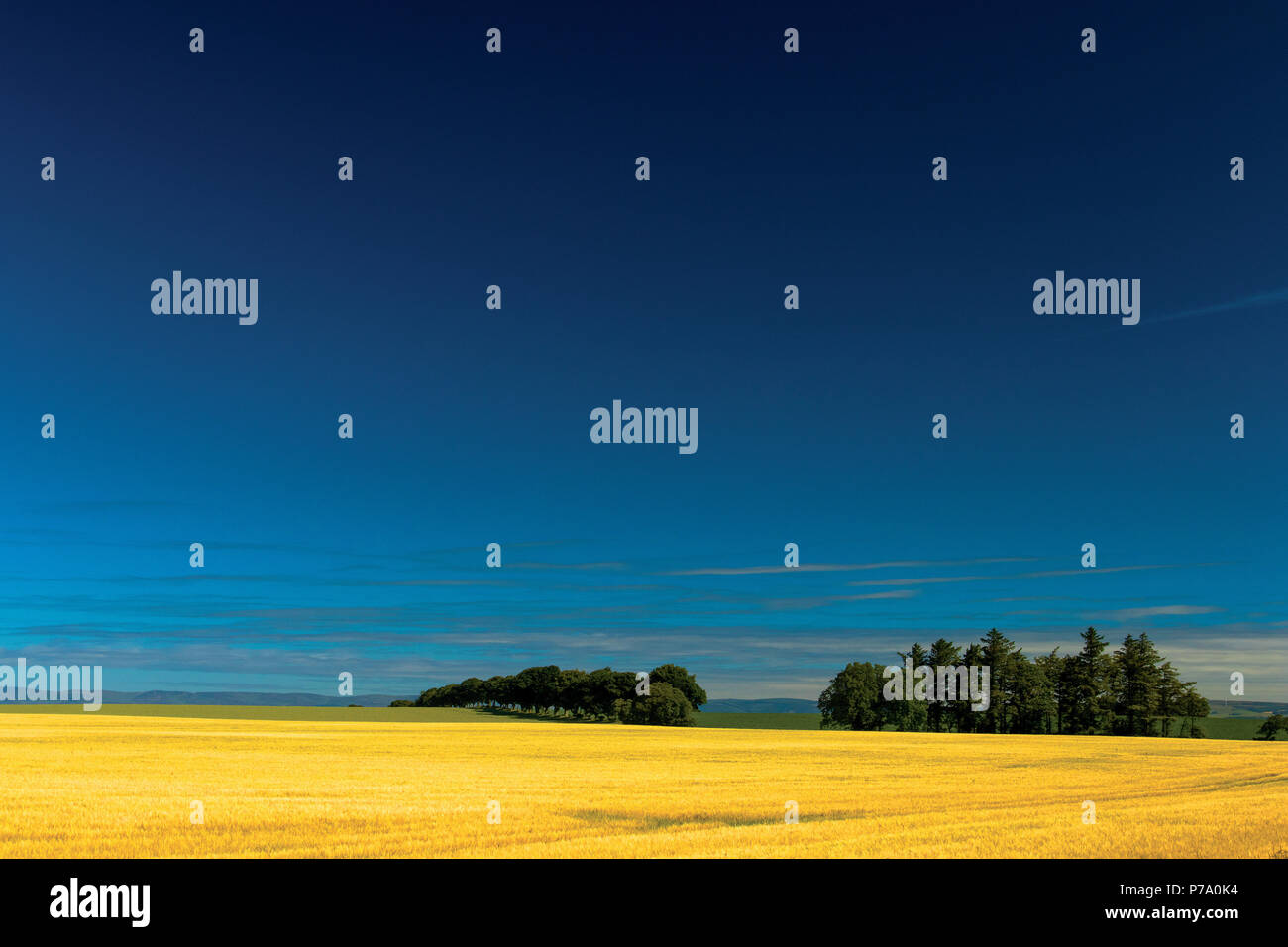 Angus countryside hi-res stock photography and images - Alamy