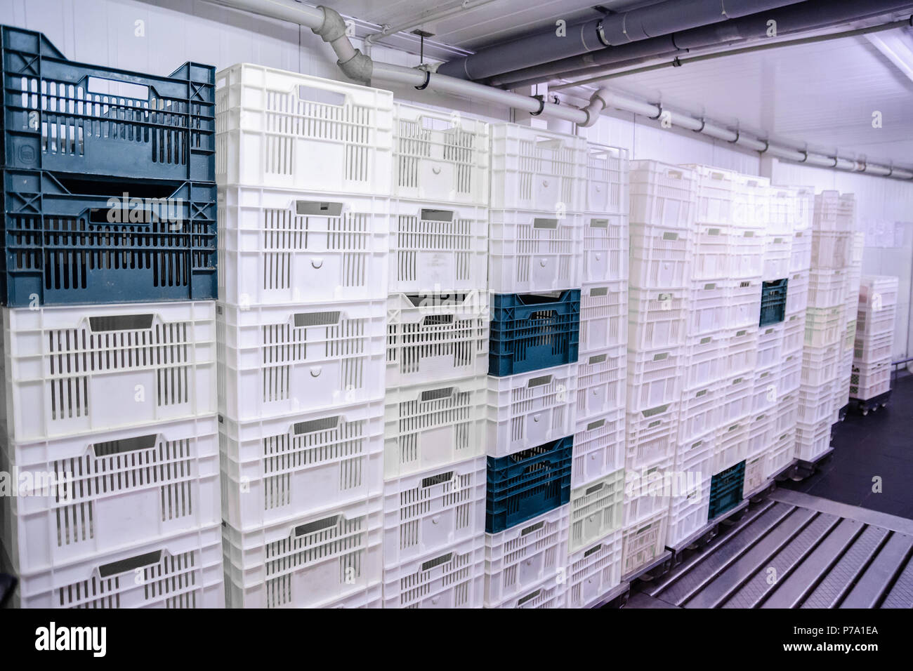 Plastic white boxes. Containers for transportation of food products ...