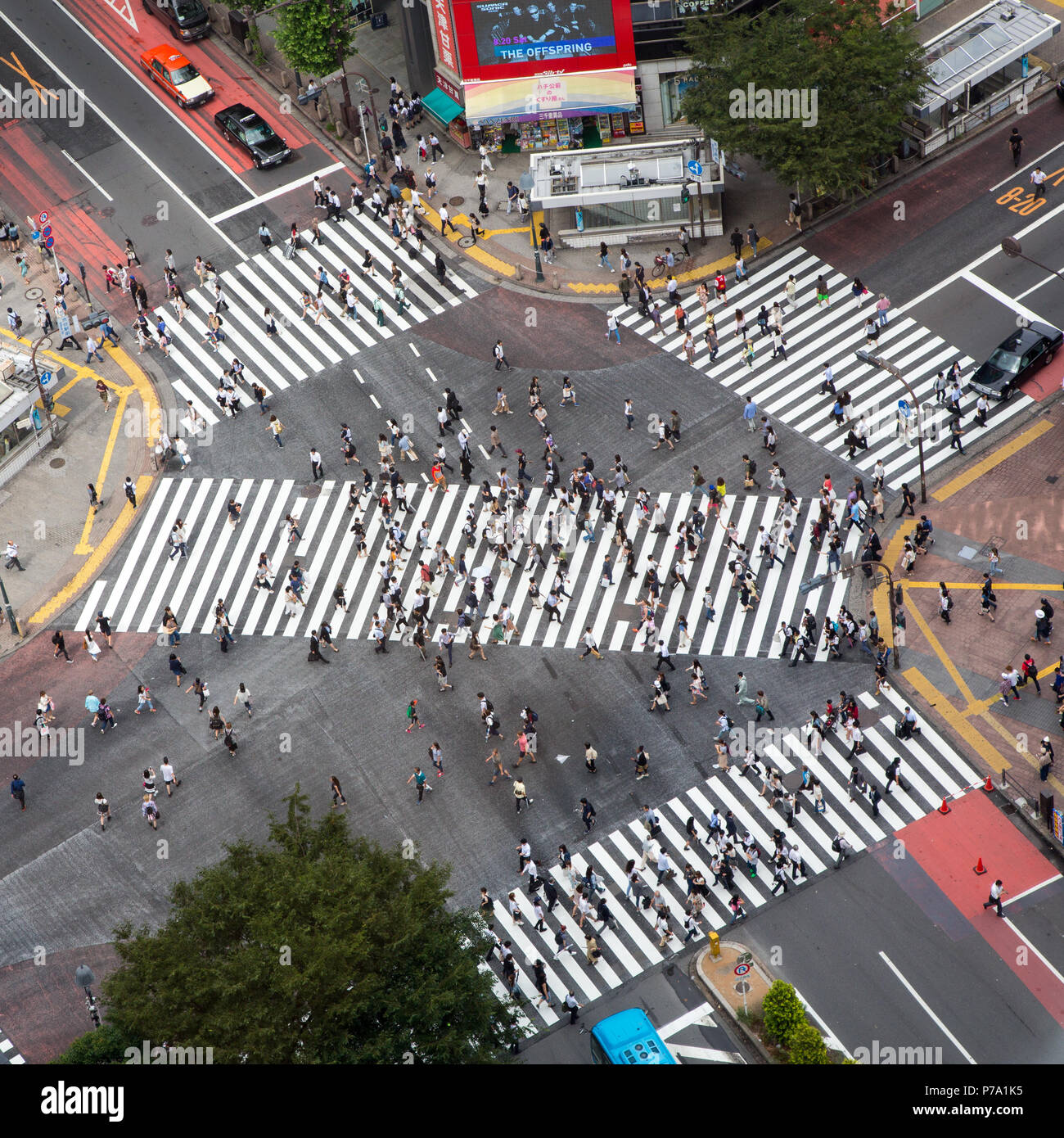 Aerial view crossing famous shibuya hi-res stock photography and images ...