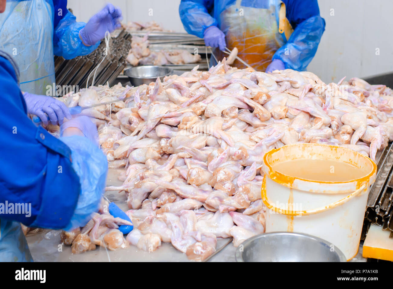 Chicken. Line of production of chicken delicacies. Smoked delicacy ...