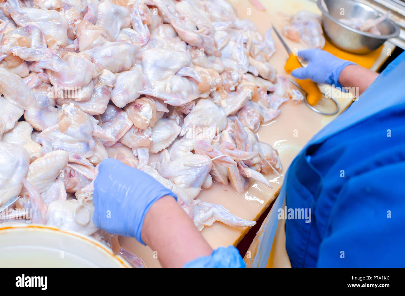Chicken. Line of production of chicken delicacies. Smoked delicacy ...