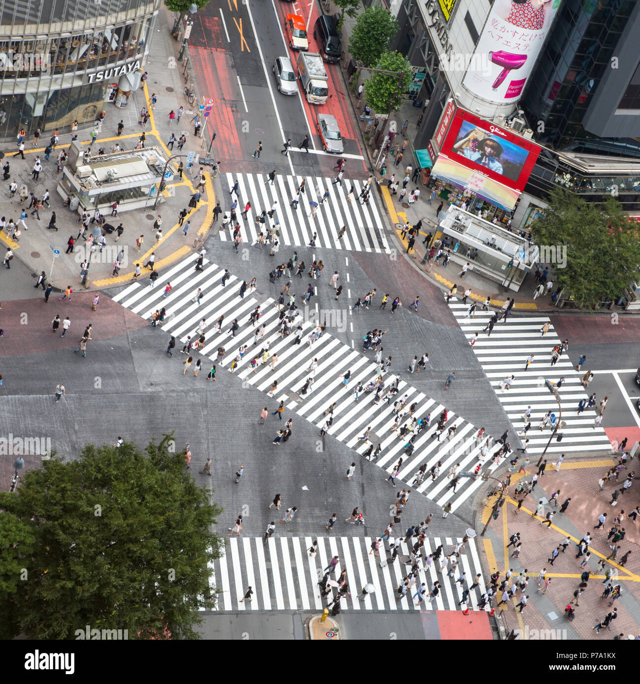 Aerial View Crossing Famous Shibuya Stock Photos & Aerial View Crossing ...