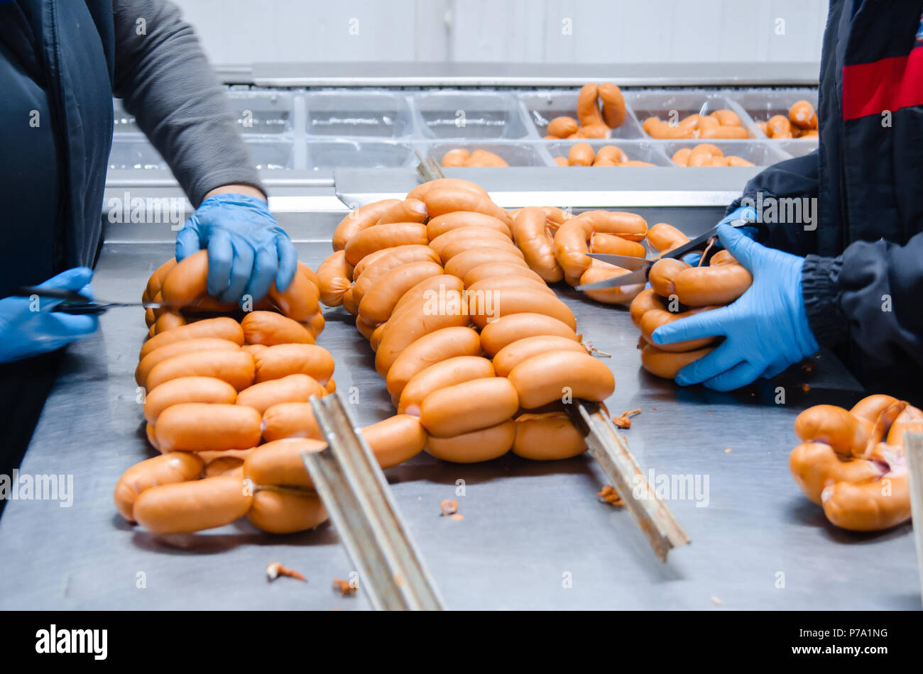 Sausages. Packing line of sausage. Industrial manufacture of sausage ...