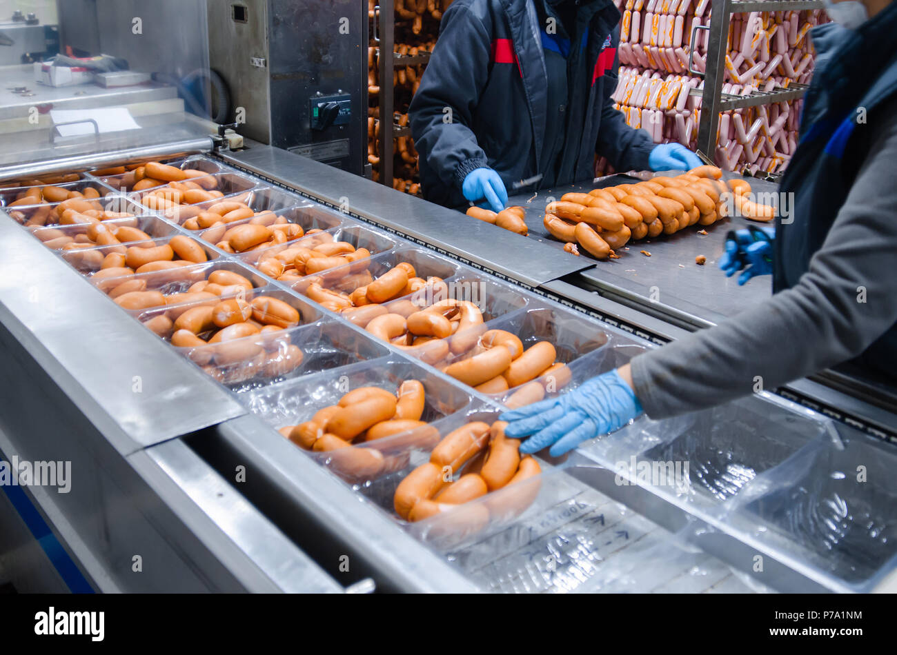 Sausages. Packing line of sausage. Industrial manufacture of sausage ...