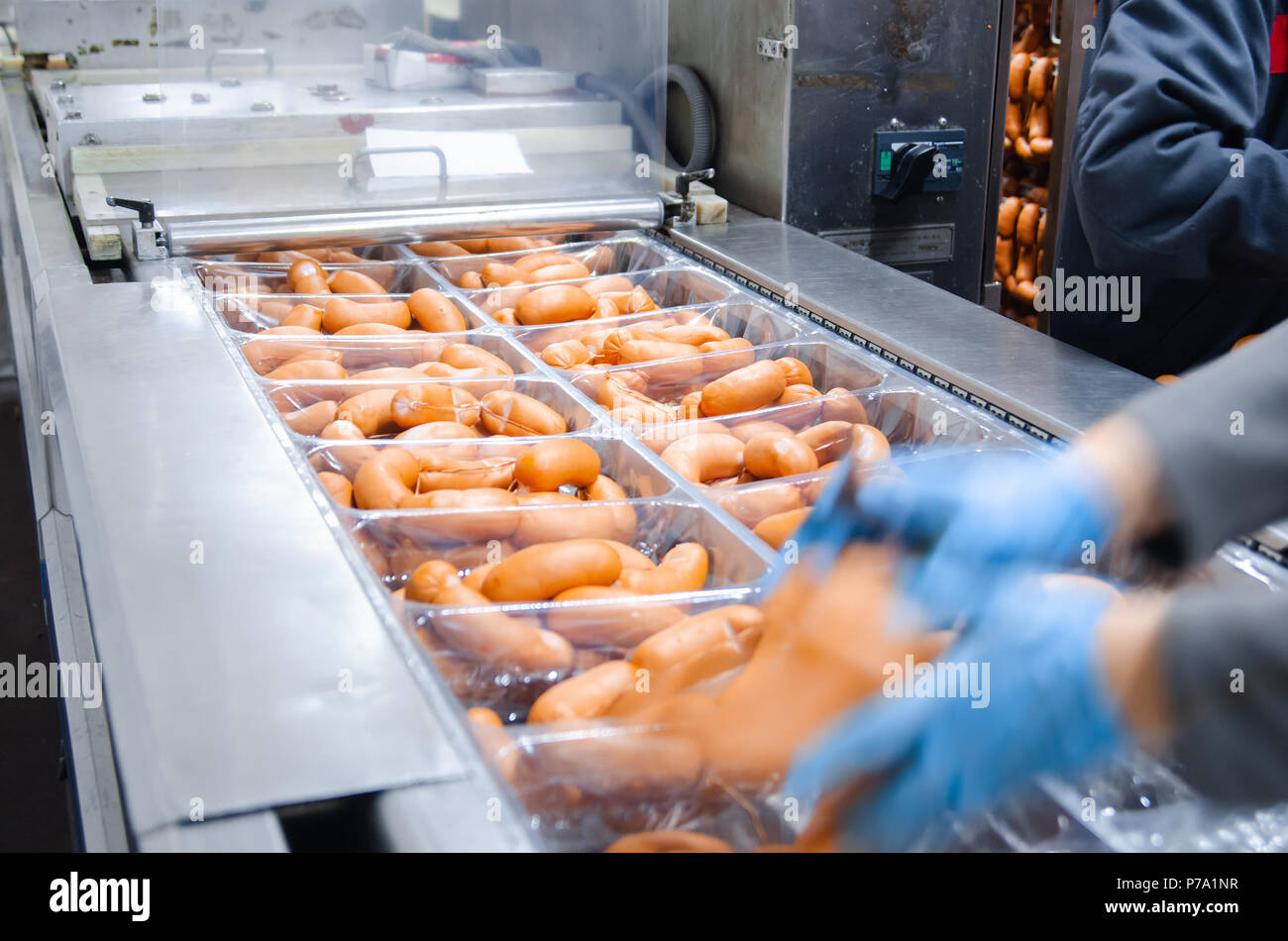 Sausages. Packing line of sausage. Industrial manufacture of sausage ...