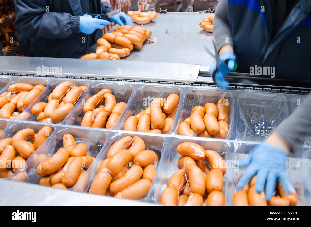 Sausages. Packing line of sausage. Industrial manufacture of sausage ...