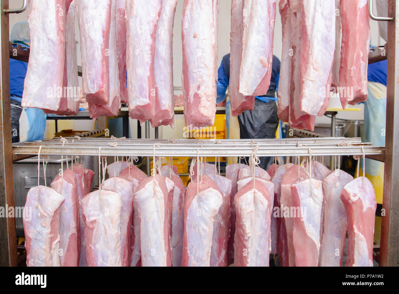 Pork. The line for the production of smoked delicacies. Industrial ...