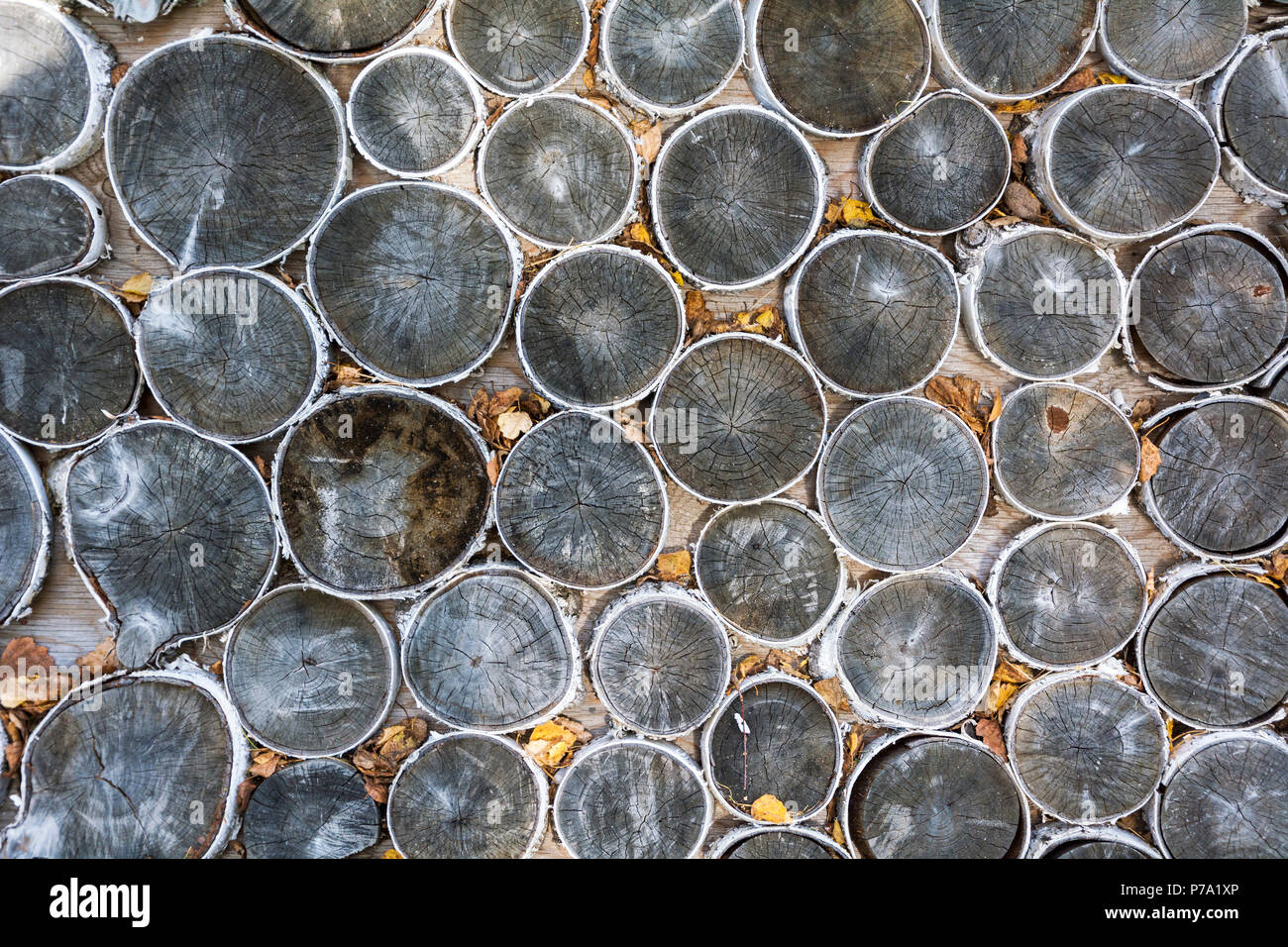 Fragment consists hi-res stock photography and images - Alamy