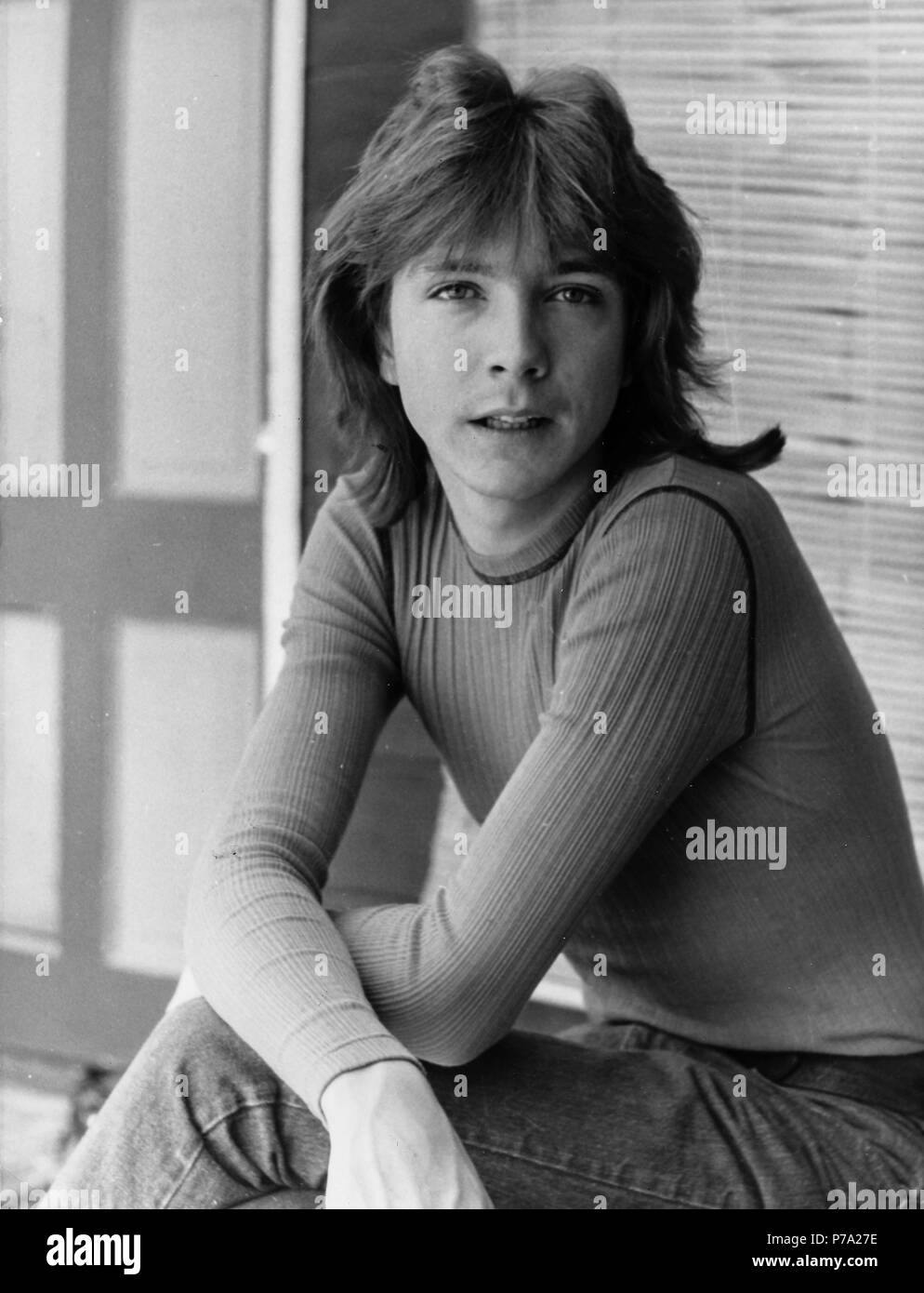Young David Cassidy