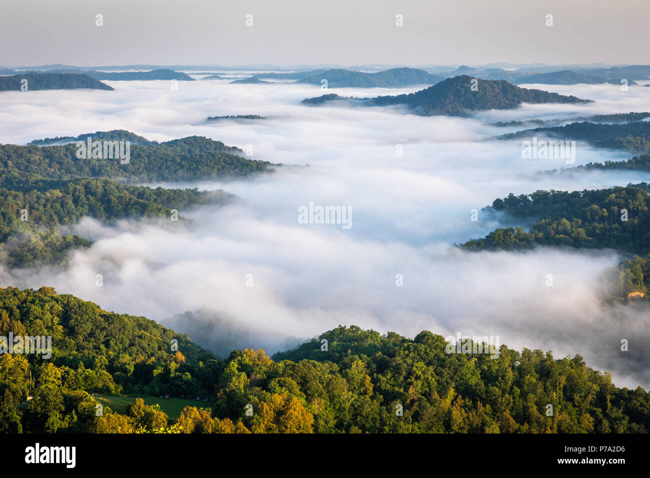 Early morning fog covers deep mountain valleys in Appalachia Stock ...