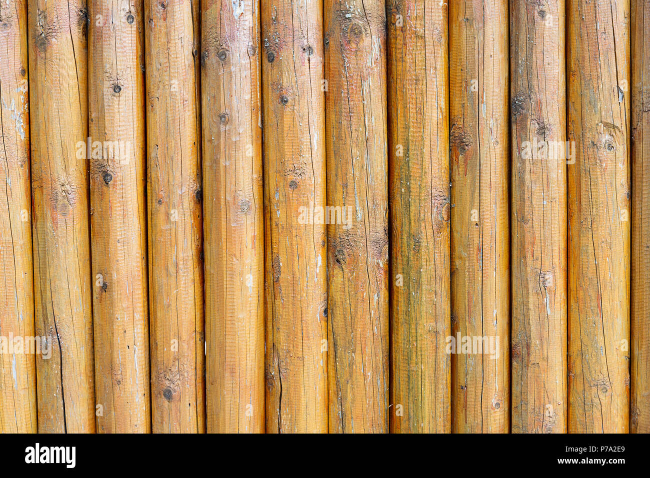 A fence made from brown round vertical pine logs. Natural log ...