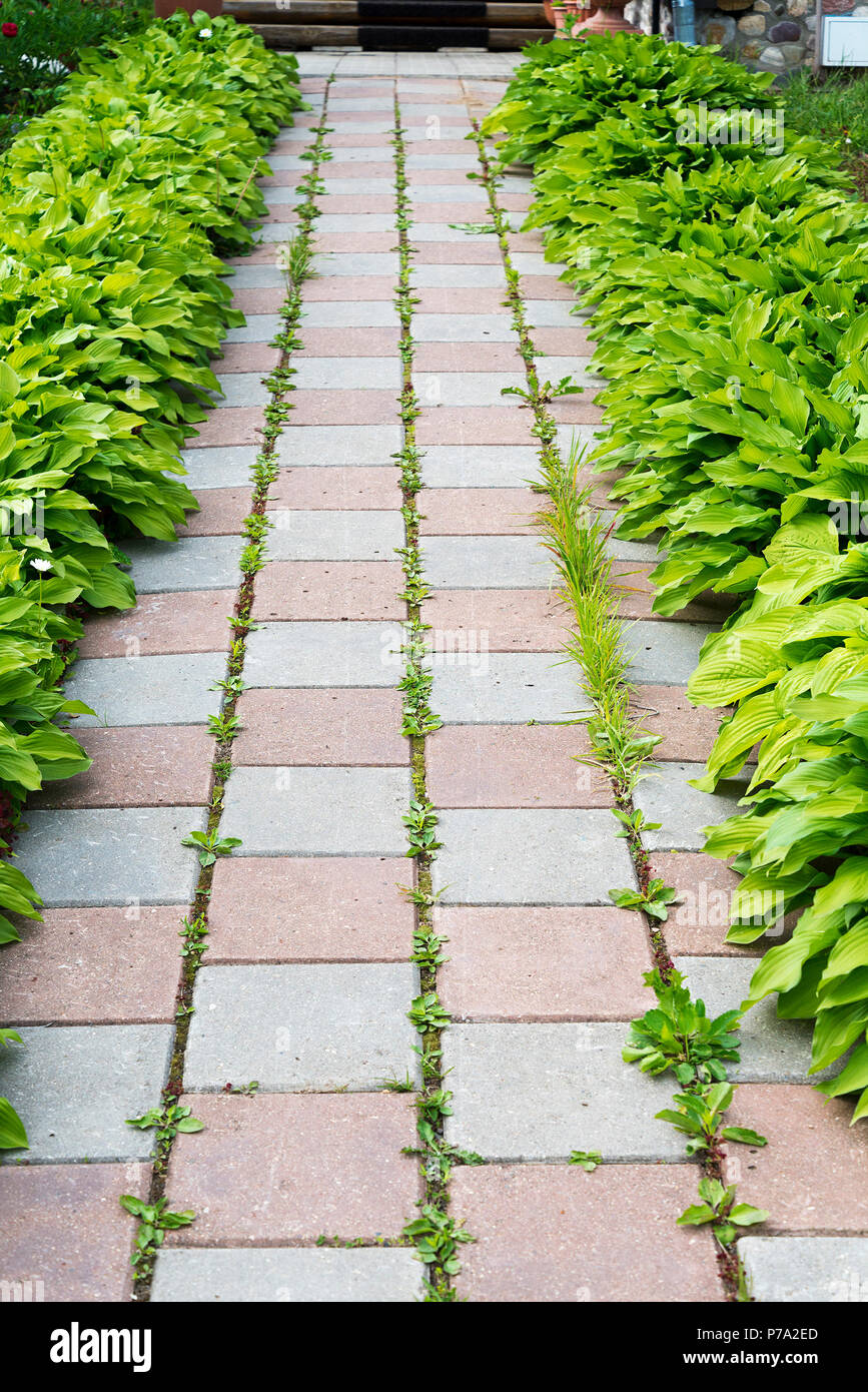 Park walk tiles floor hi-res stock photography and images - Alamy