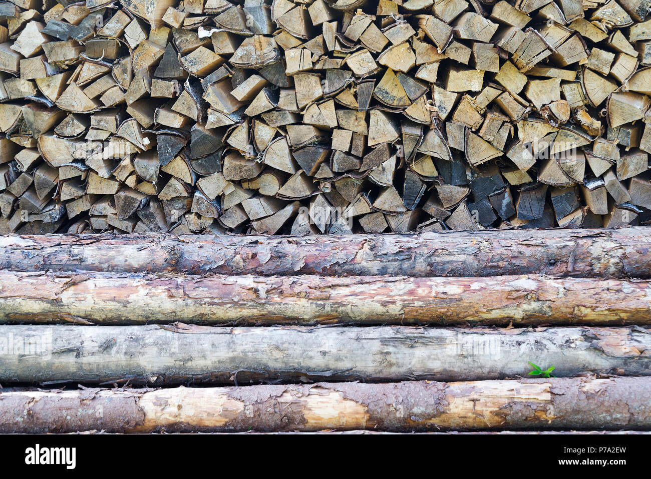 Chipped wood hi-res stock photography and images - Alamy