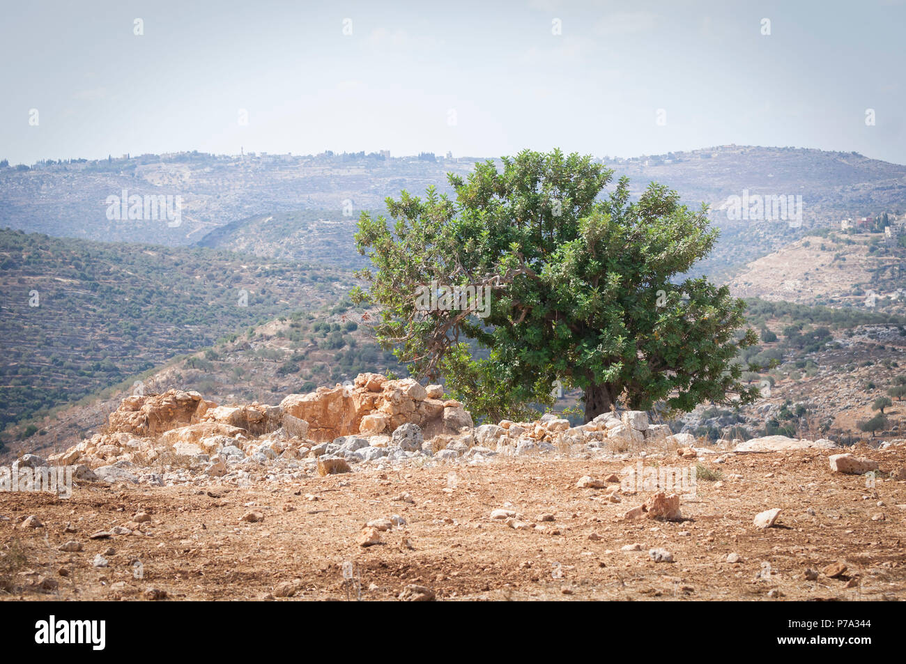 Jesus Samaria High Resolution Stock Photography and Images - Alamy