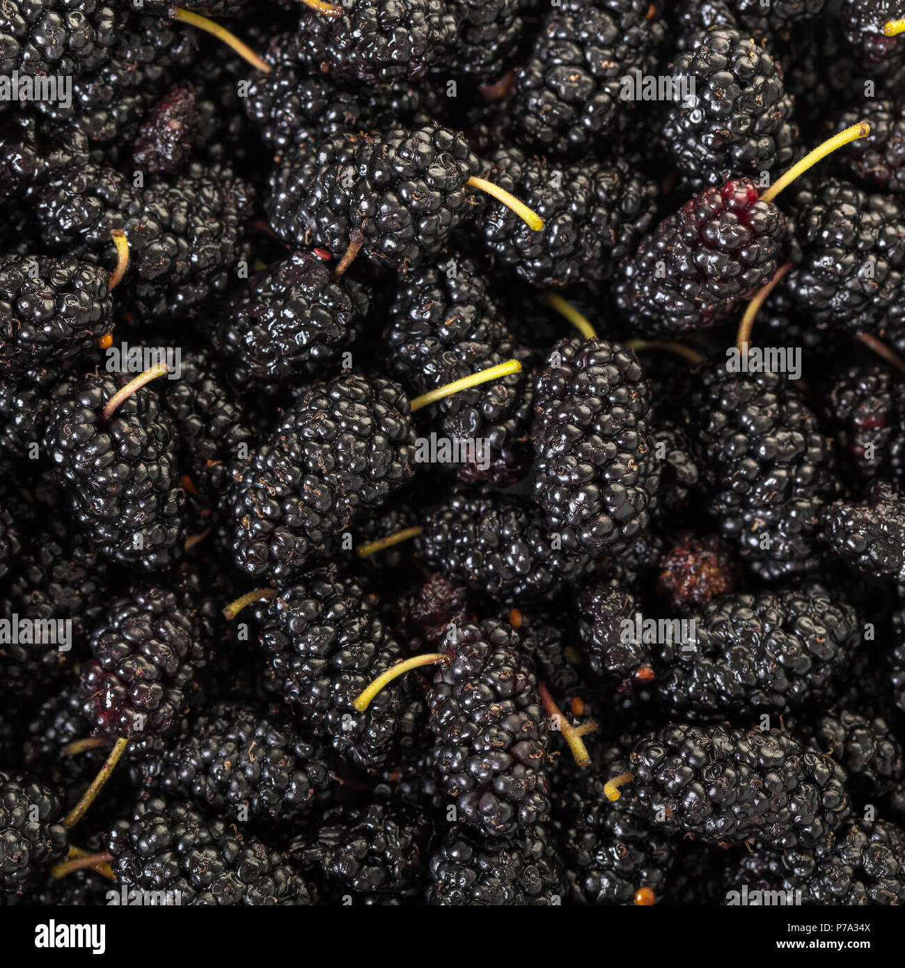 food background of a texture of fresh mulberry Stock Photo - Alamy