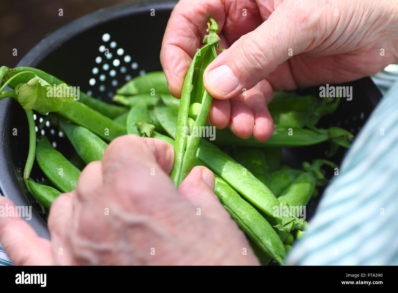 Peas man hi-res stock photography and images - Alamy