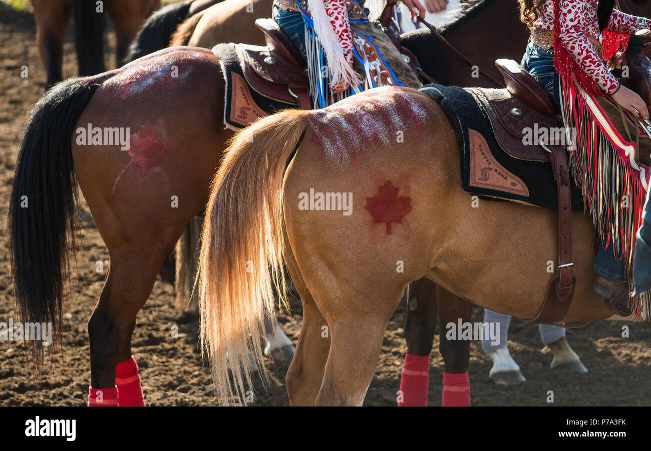 Cowgirl on white horse hi-res stock photography and images - Alamy
