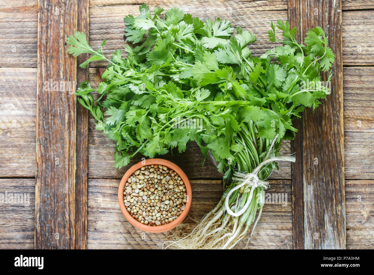 Fresh green cilantro, coriander leaves and dry seeds on wooden surface ...