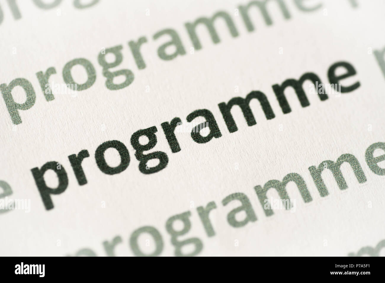 word programme printed on white paper macro Stock Photo - Alamy