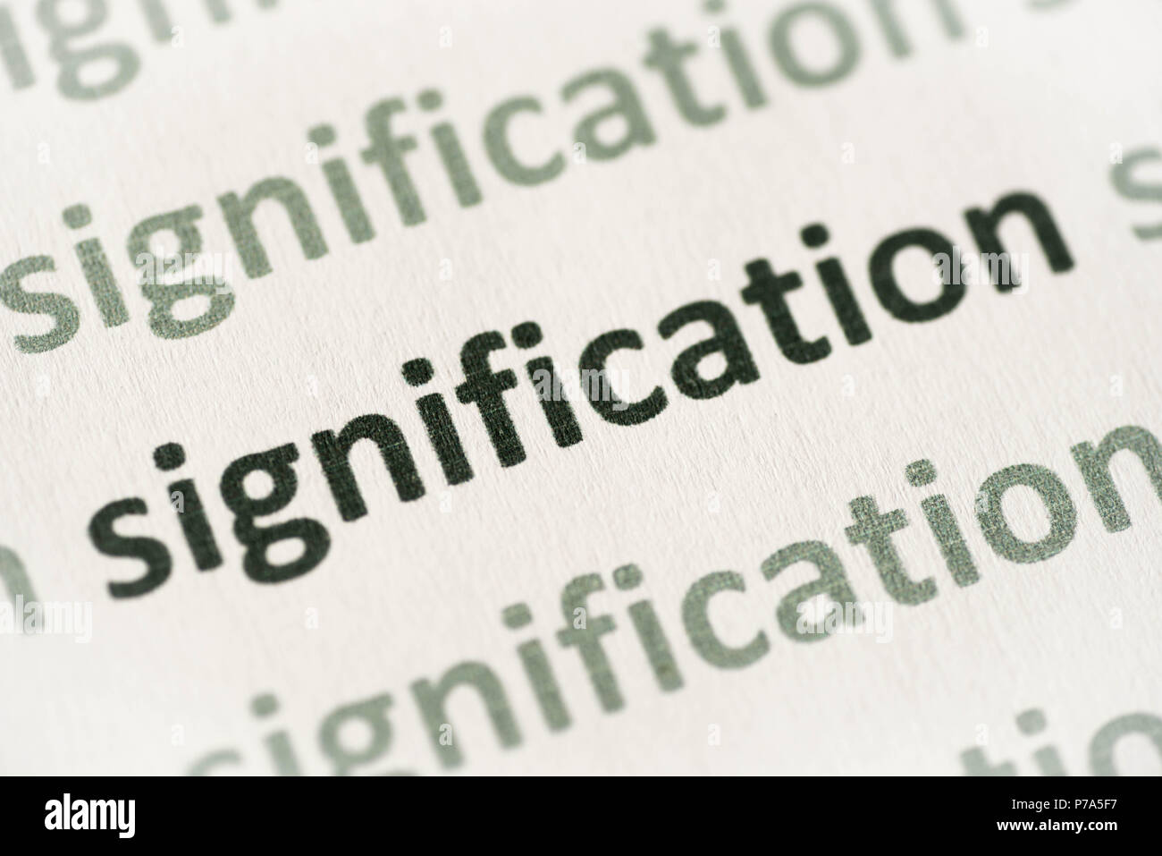 word signification printed on white paper macro Stock Photo - Alamy