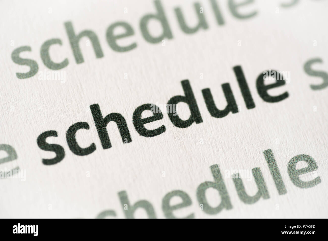 word schedule printed on white paper macro Stock Photo - Alamy