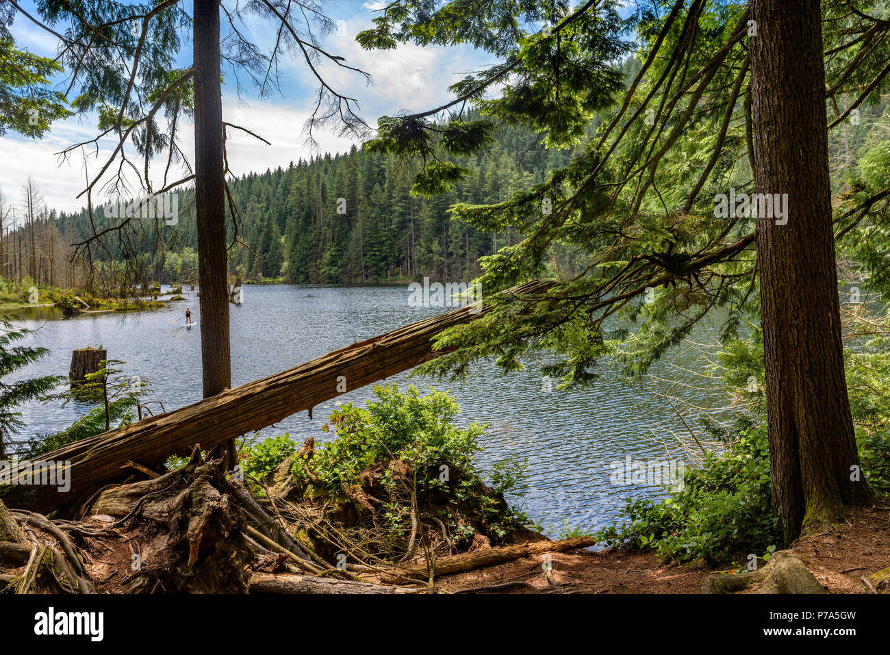 Buntzen Lake Recreation Area, near Anmore, British Columbia, Canada ...