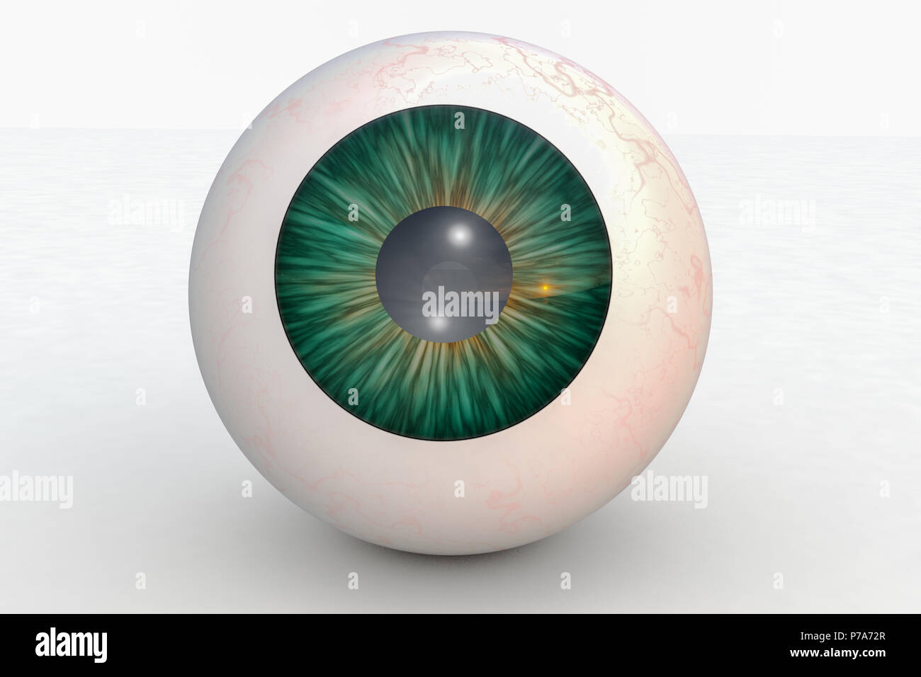 one eyeball in front of isolated background (3d rendering Stock Photo ...