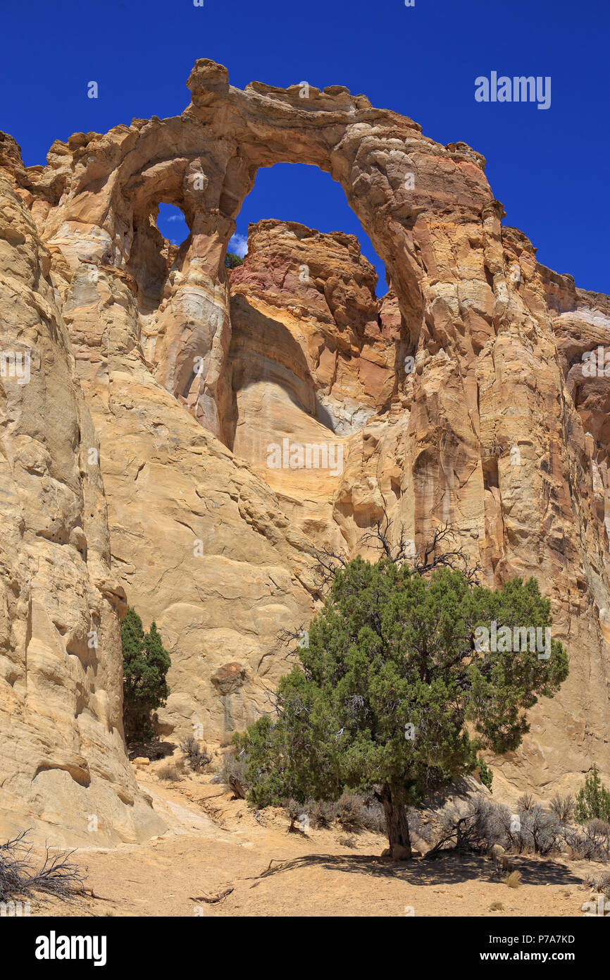 Grosvenor Arch is a unique sandstone double arch located within Grand ...