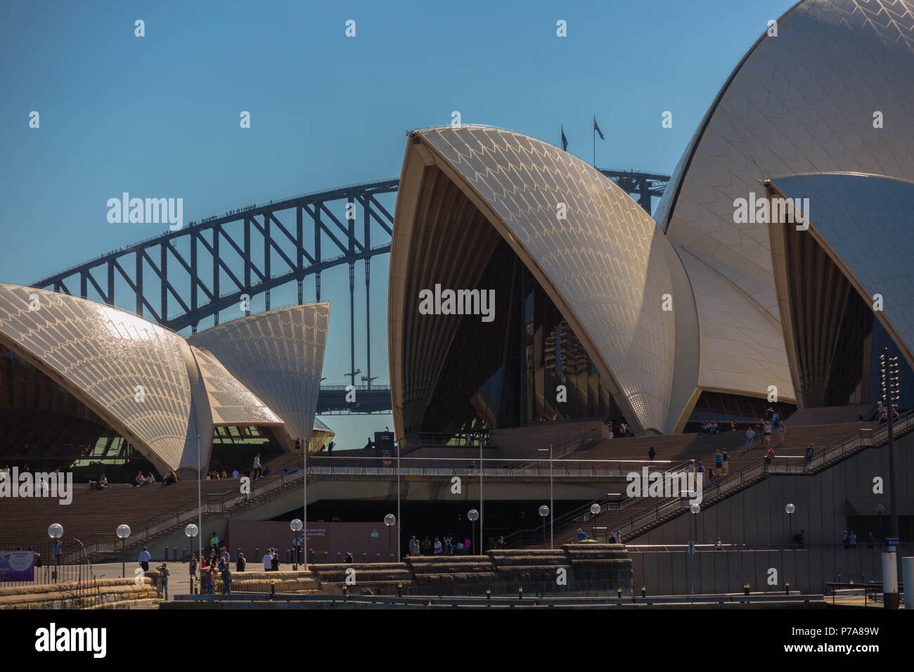 Sydney Opera House and Bridge in Sydney, Australia Stock Photo - Alamy