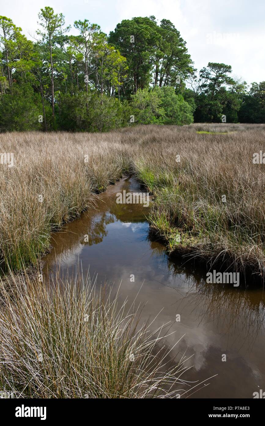 A riverbank is surrounded by sea grass. You can see a reflection in the ...