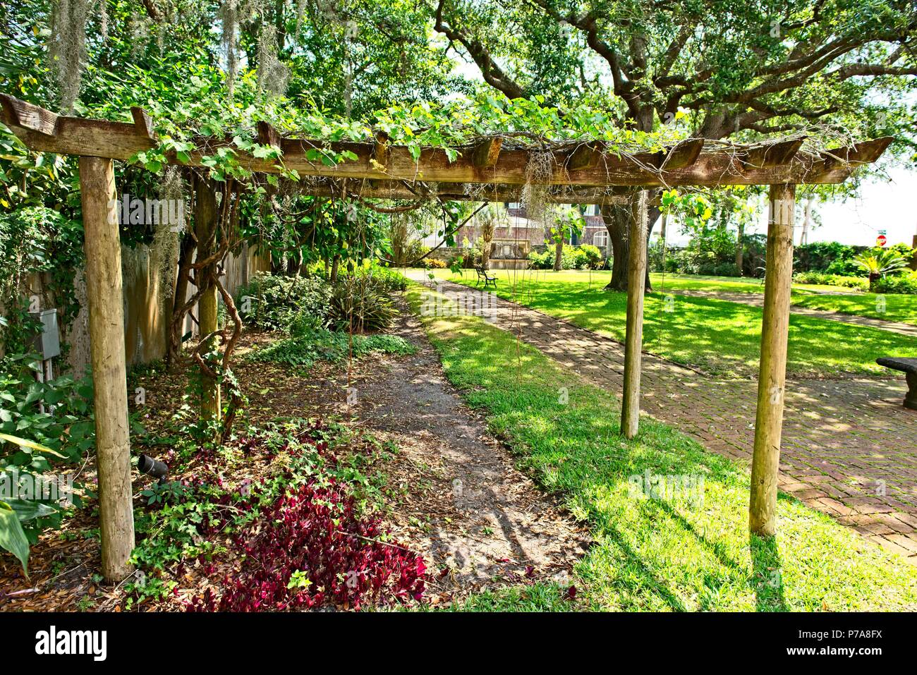 Trellis window hi-res stock photography and images - Alamy